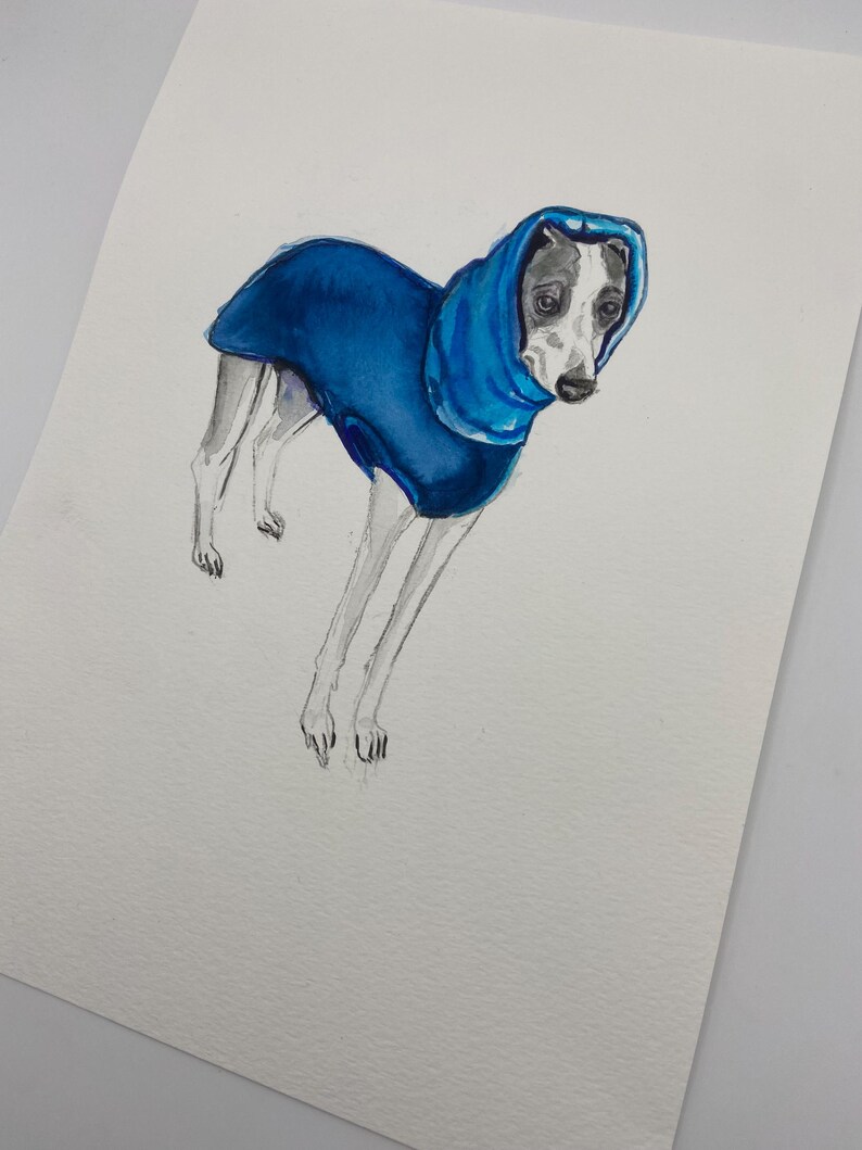 Original A4 'cold Whippet' Illustration - Etsy