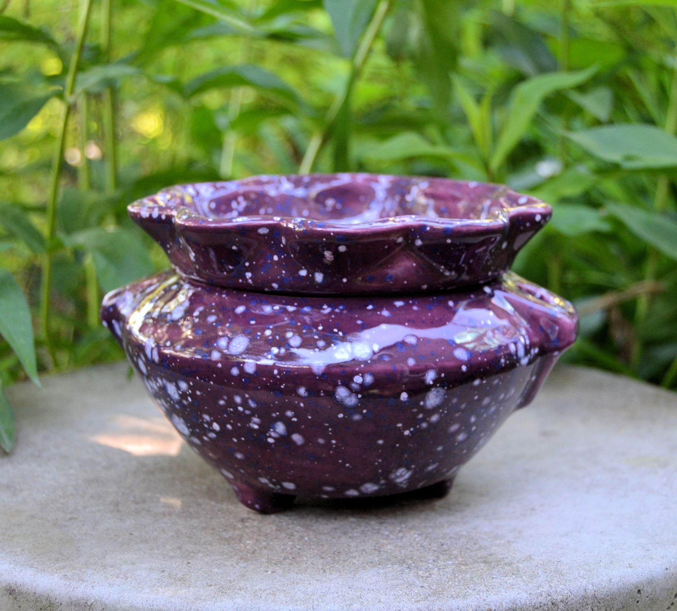 African Violet Containers