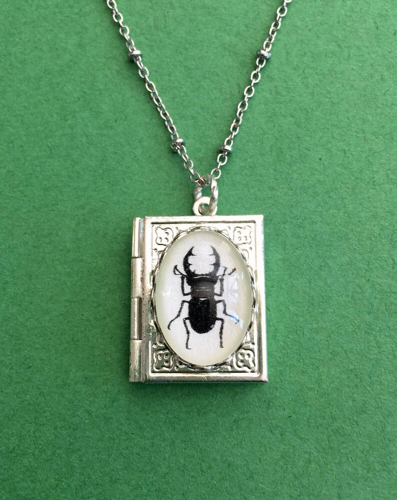 STAG BEETLE Book Locket Necklace Pendant on Chain | Etsy