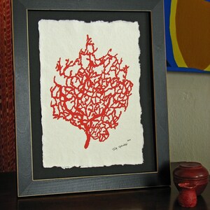 Fan Coral - Hand-cut Papercut - Etsy