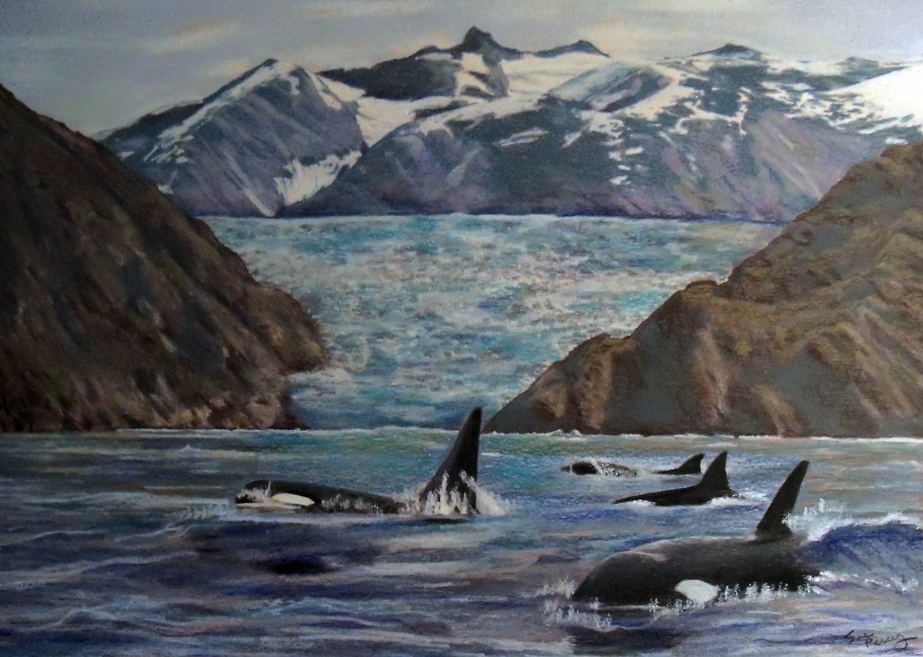 11x14 original art drawing marine whale orca pod glacier | Etsy