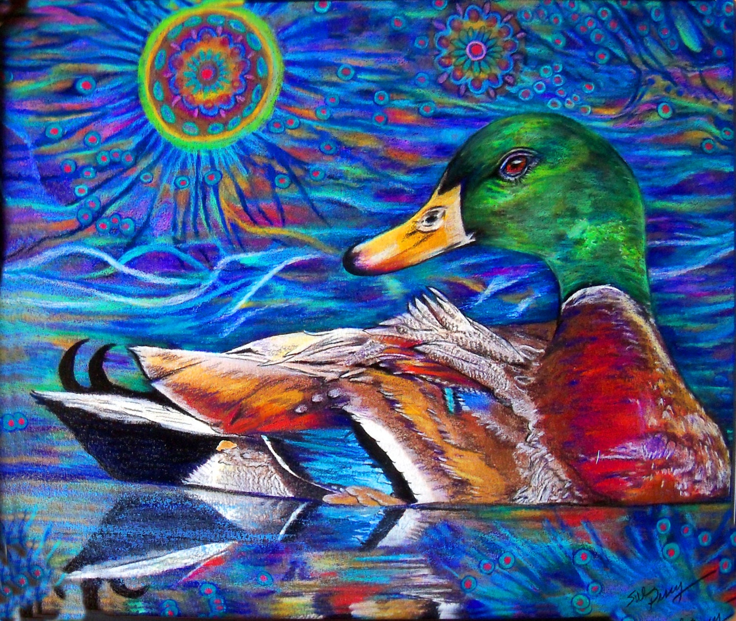 Original Art Color Pencil Drawing Zentangle Mallard Duck - Etsy