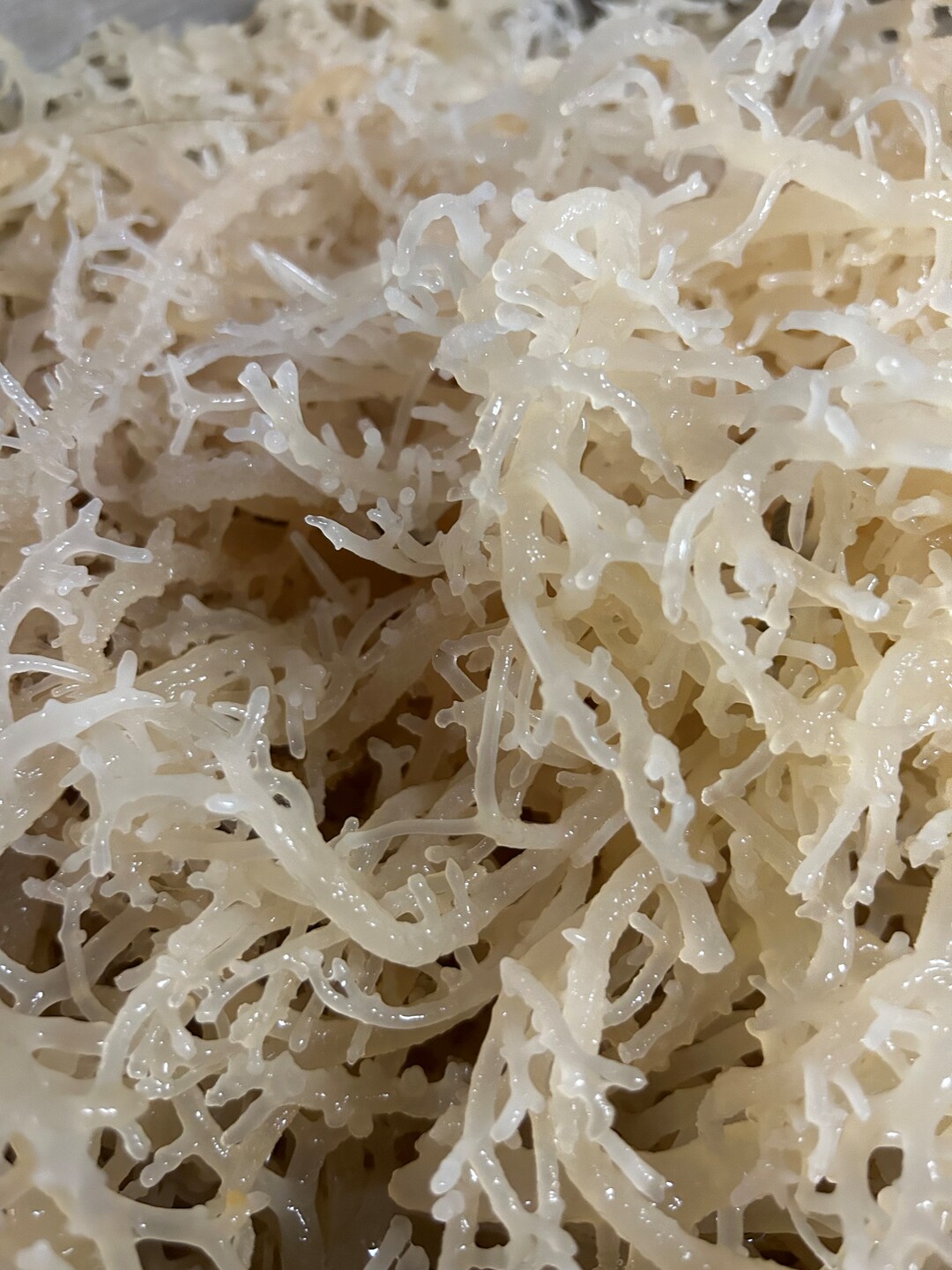Natural Sea Moss Gel - Etsy