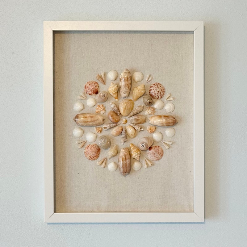 Seashell Shadow Box - Etsy