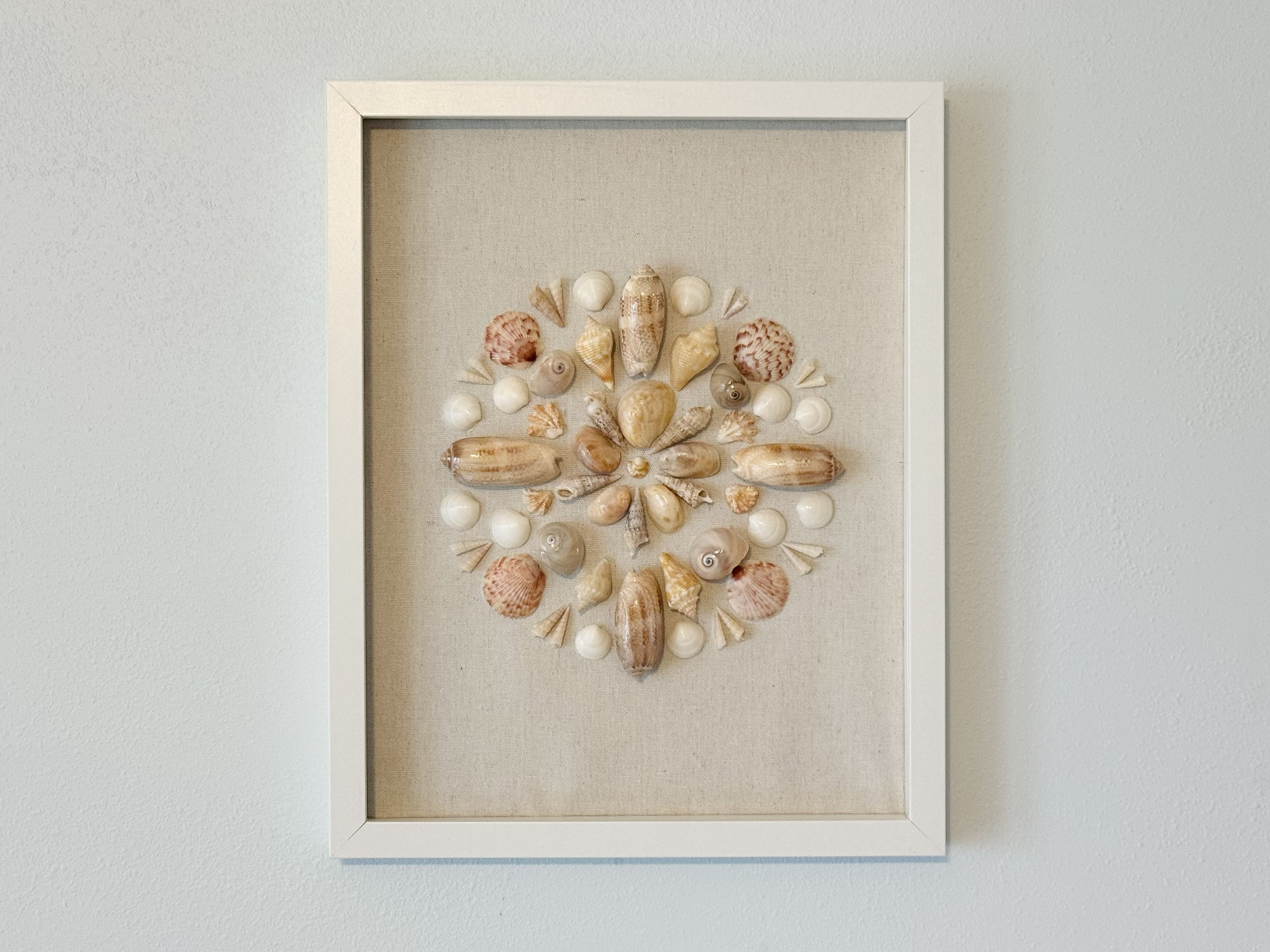 Seashell Shadow Box - Etsy