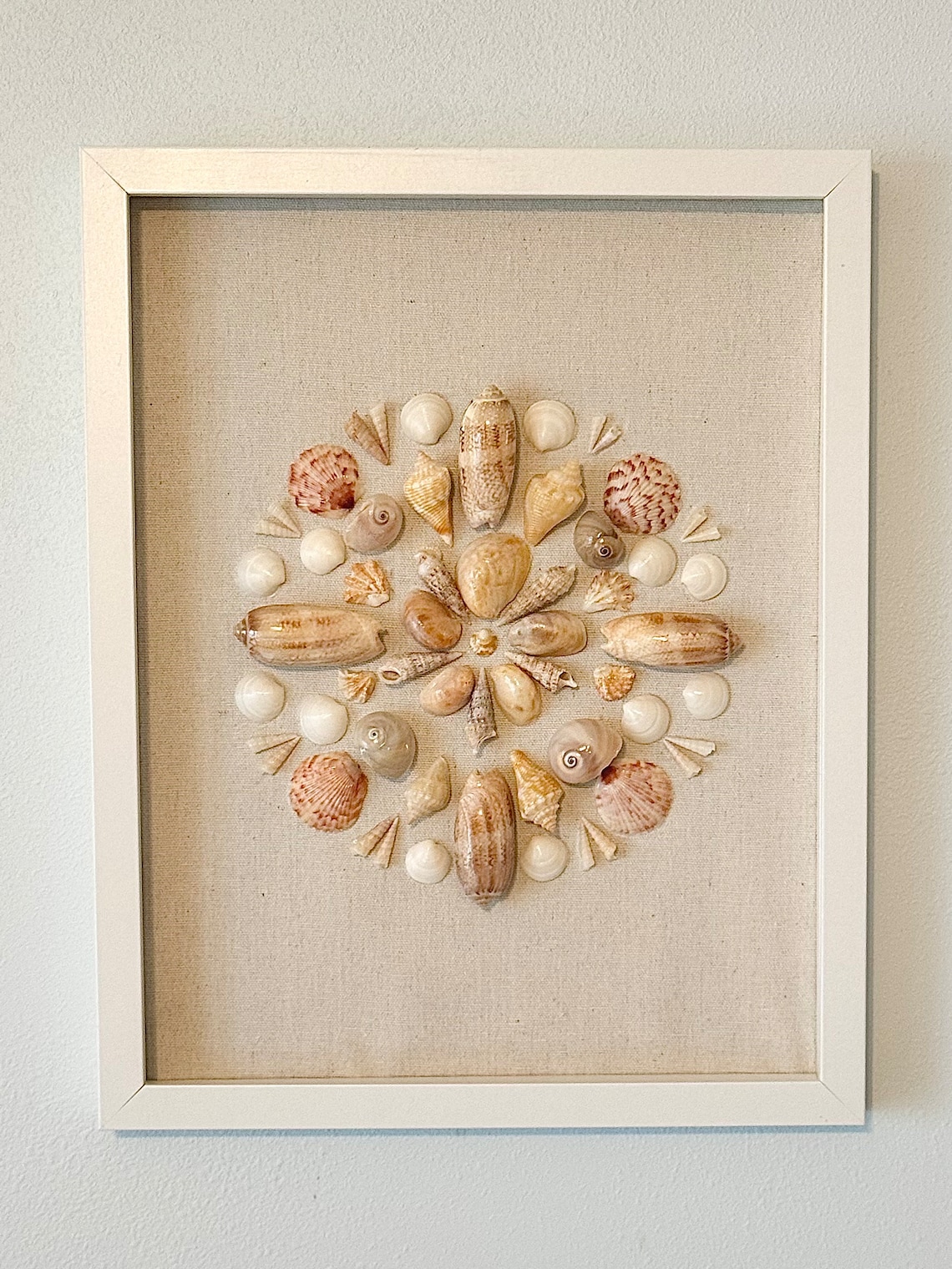 Seashell Shadow Box - Etsy