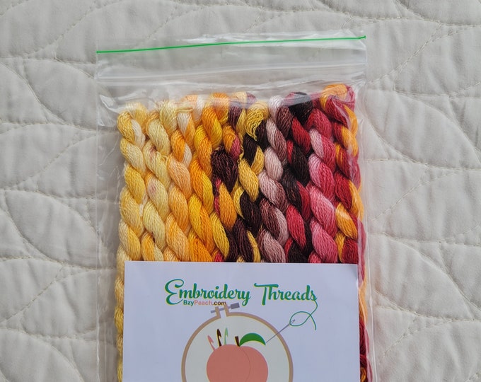 Destash - 10 Skein Bzypeach Embroidery Thread Set - Etsy