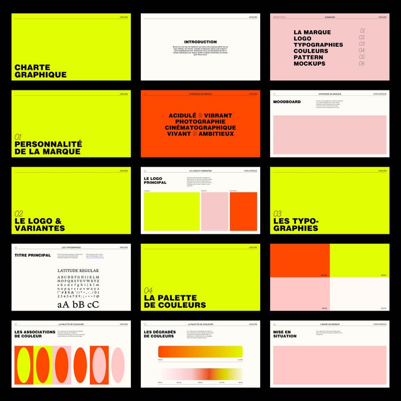 Indesign Graphic Charter Template Graphic Designer Artistic Direction ...