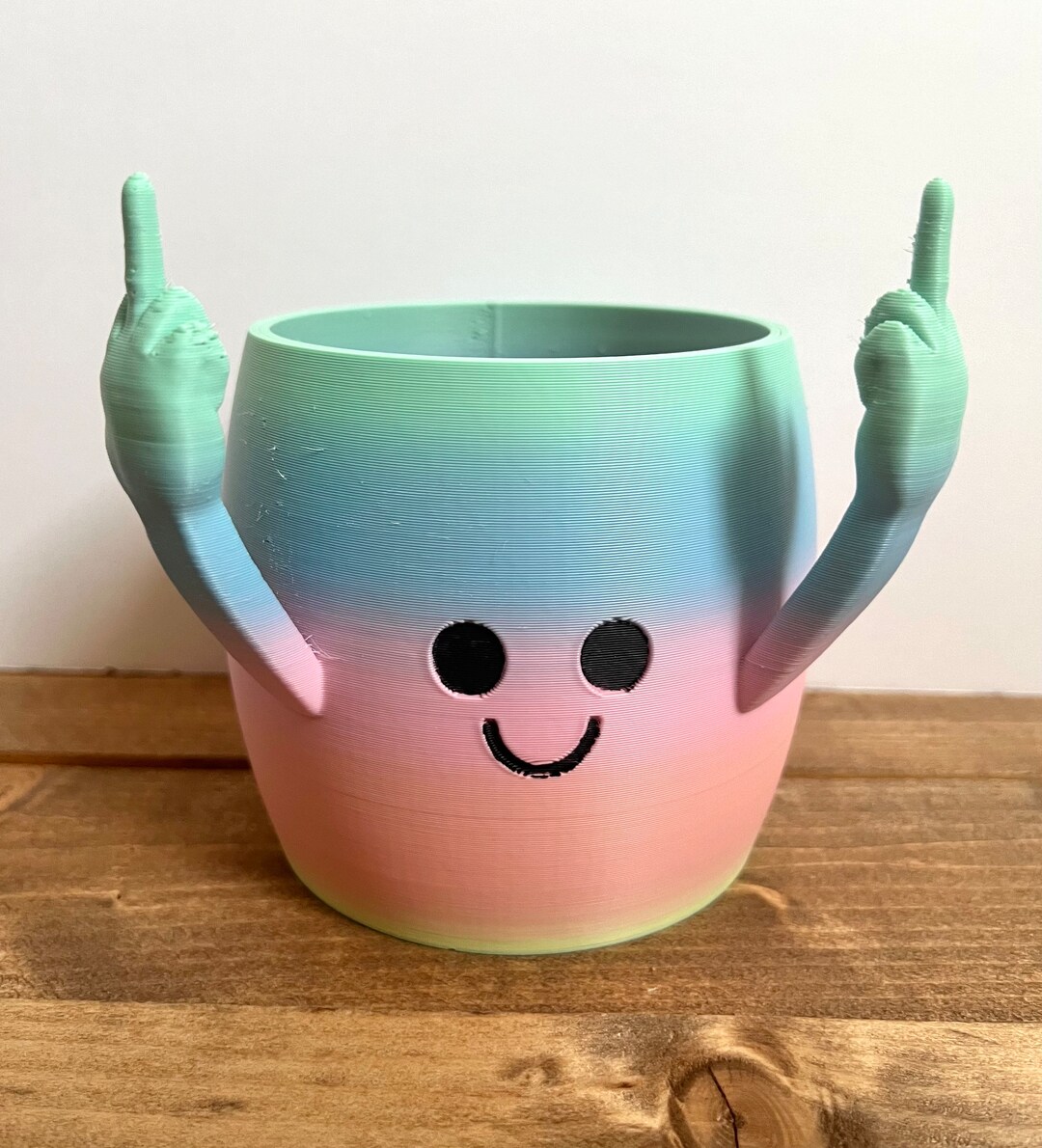 Middle Finger Planter Pot - Etsy