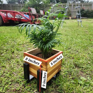 Mini Planter - Etsy
