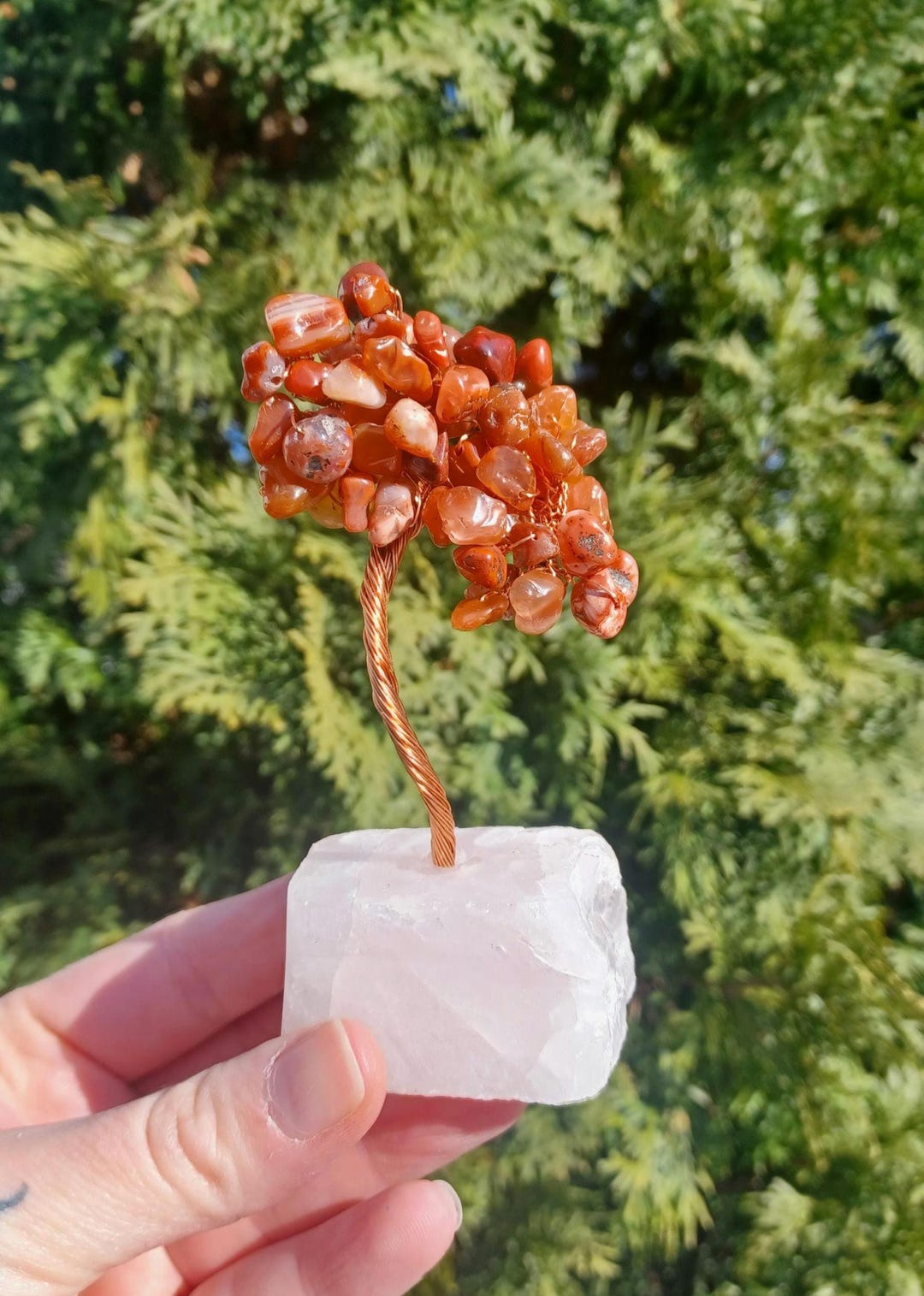 Exquisite Tree of Life Crystals Upon Arrival You Can Flower Out the ...