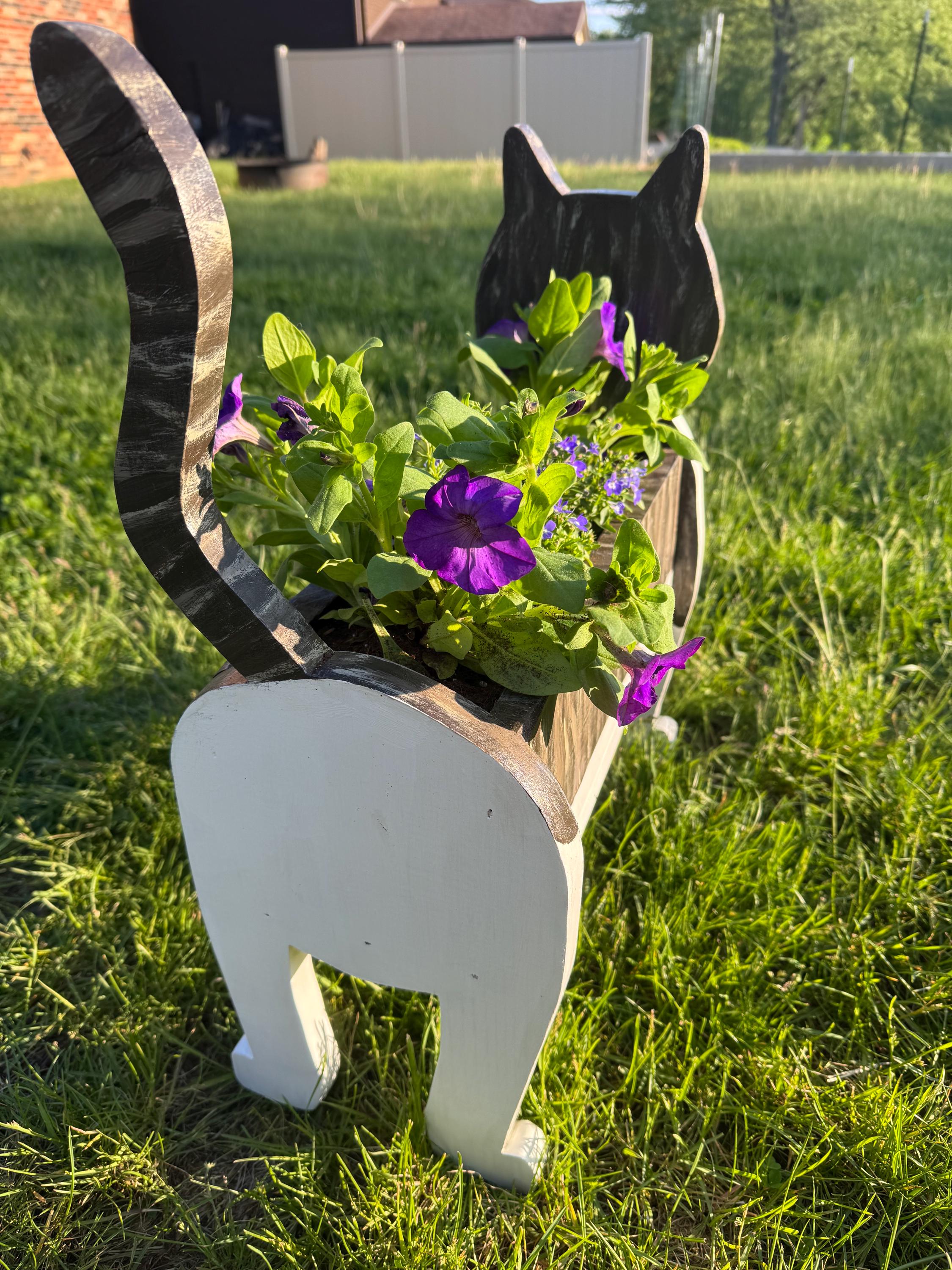 Personalized Wooden Cat Planter Box - Etsy