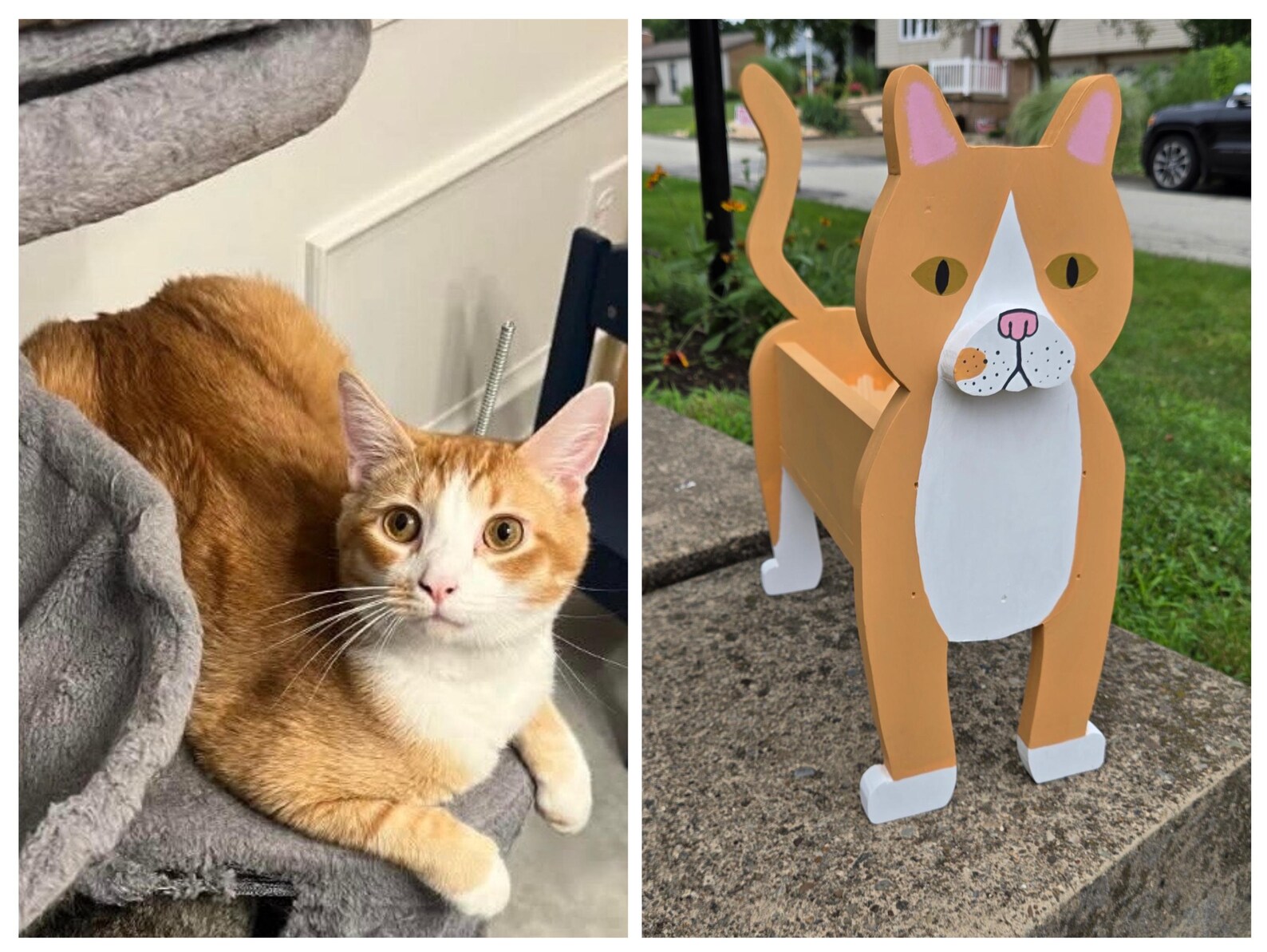 Personalized Wooden Cat Planter Box - Etsy