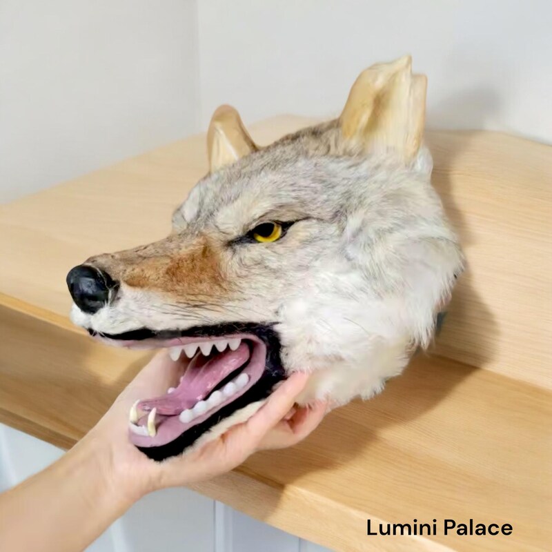 Wolf Head Wall Mount - Etsy