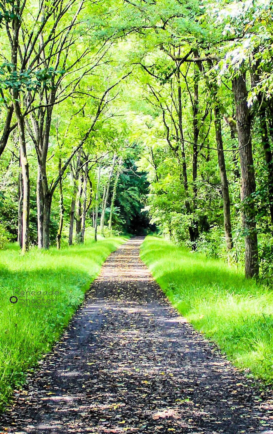 PATH TO NOWHERE - Etsy