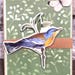 Birds Box Set - Etsy