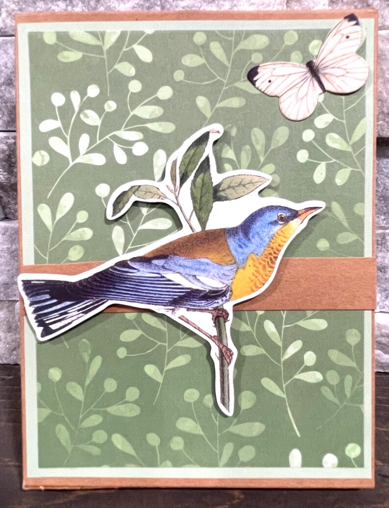 Birds Box Set - Etsy