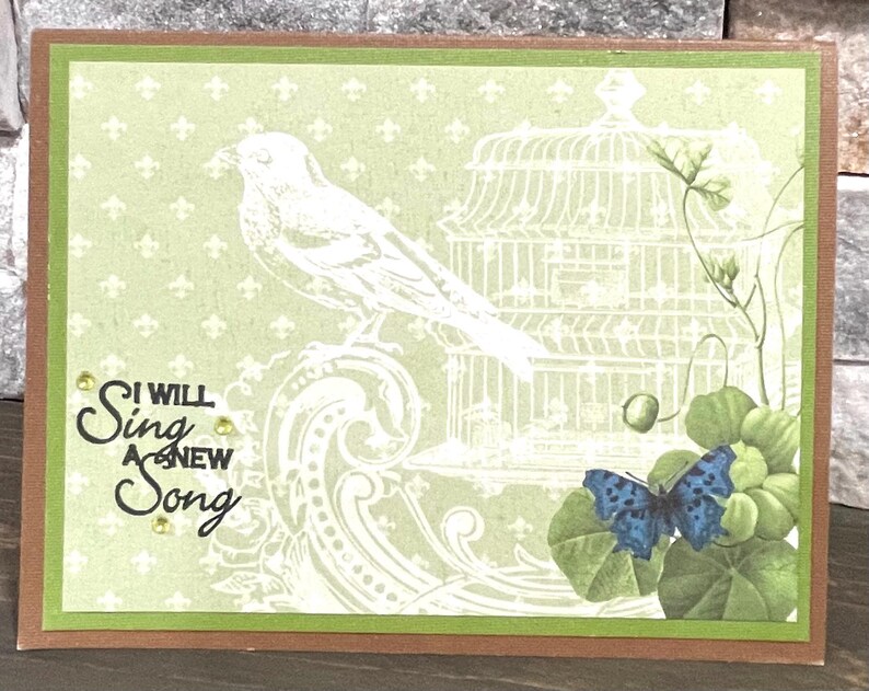 Birds Box Set - Etsy