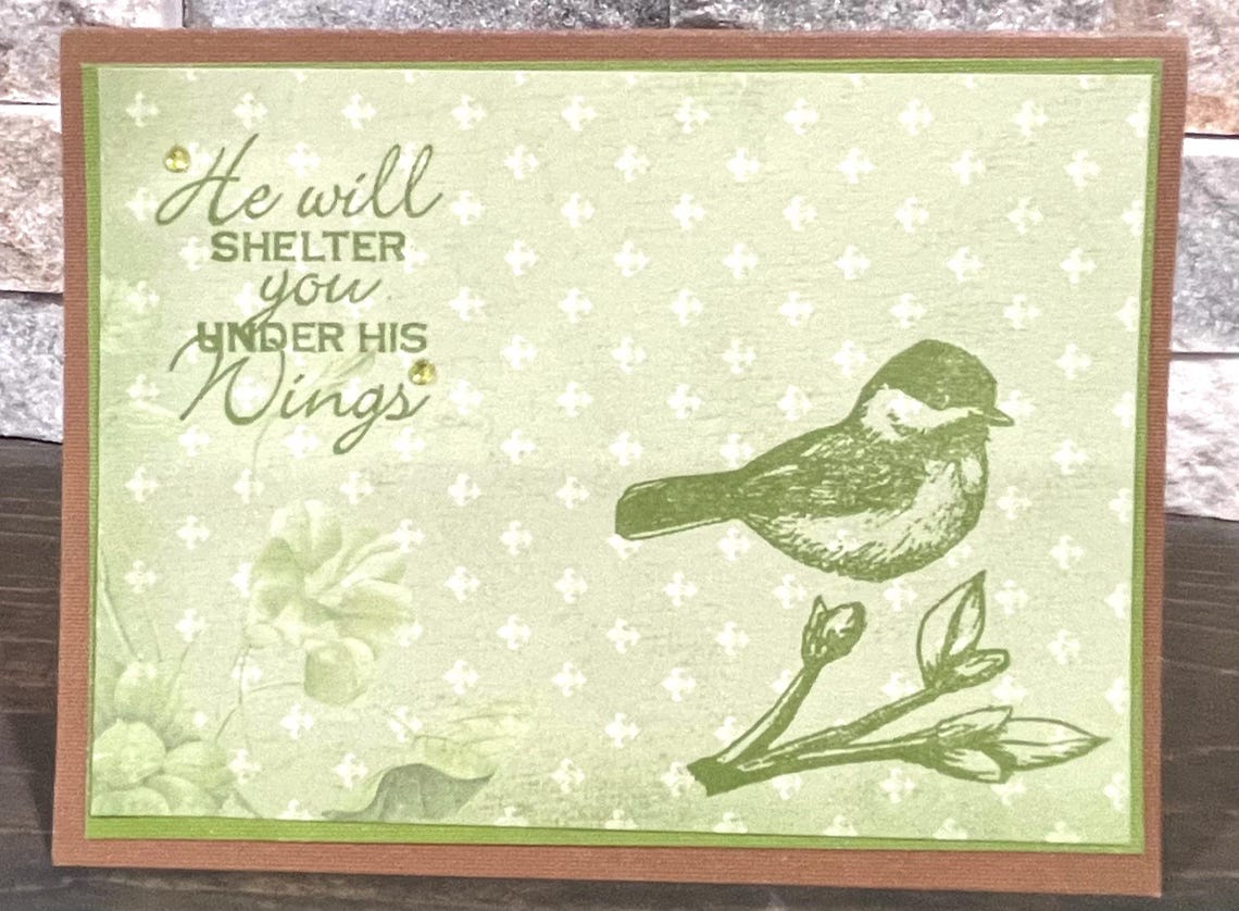 Birds Box Set - Etsy