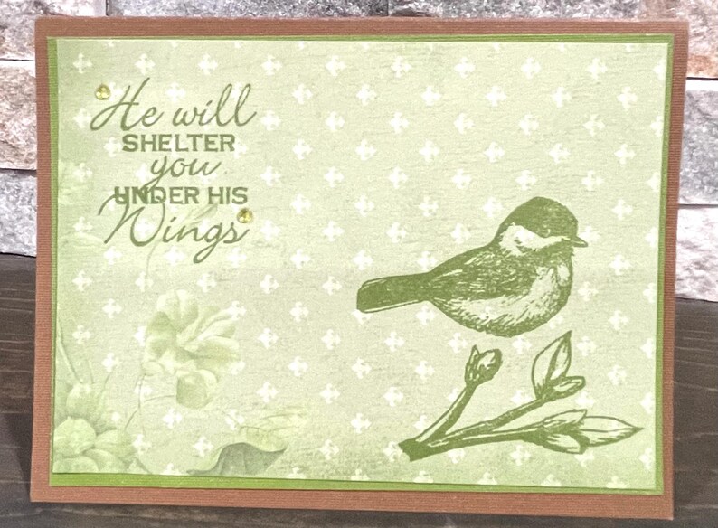 Birds Box Set - Etsy