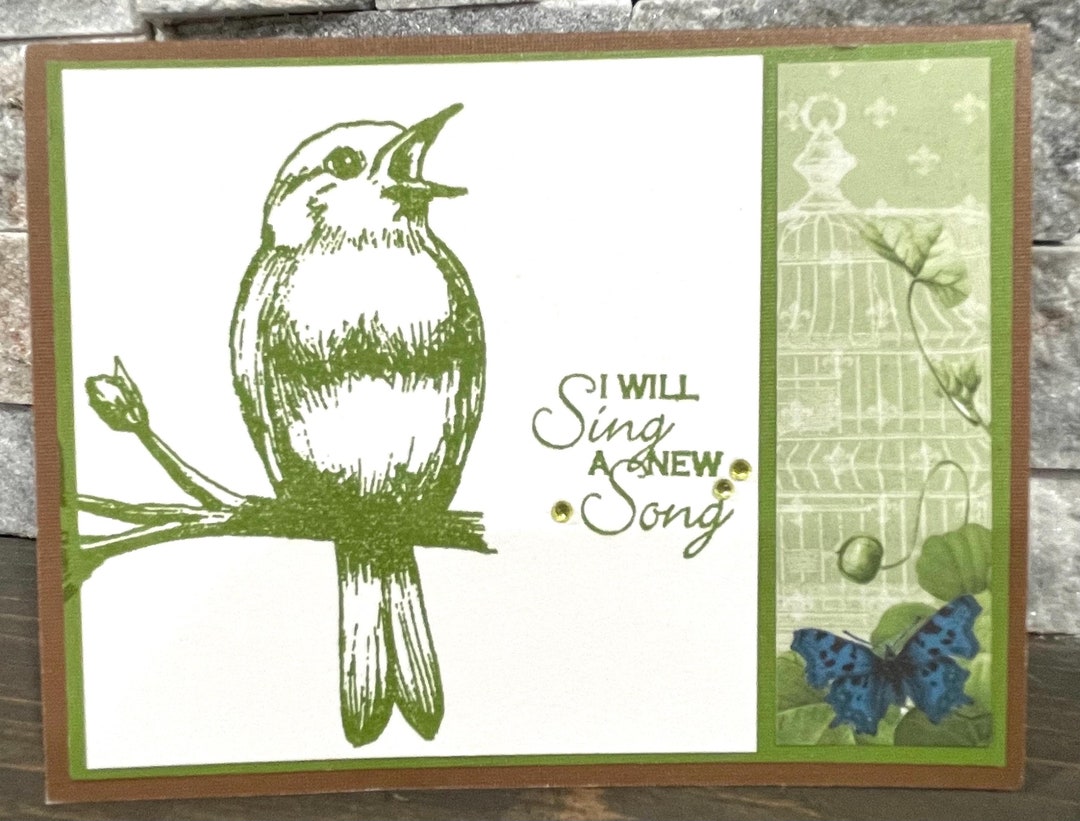 Birds Box Set - Etsy