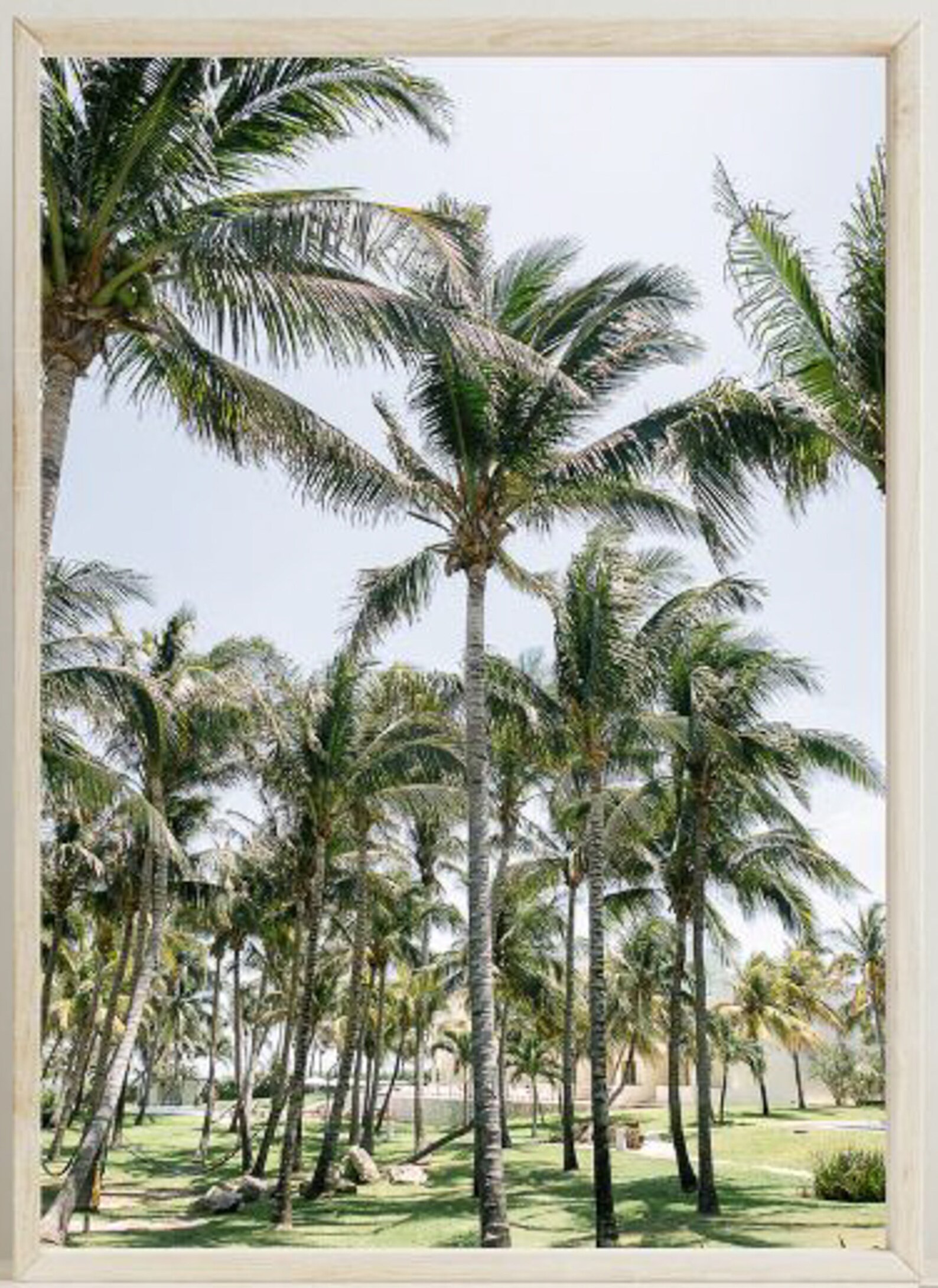 Palm Trees Digital Download - Coastal Decor - Wall Art - Printable Palm ...