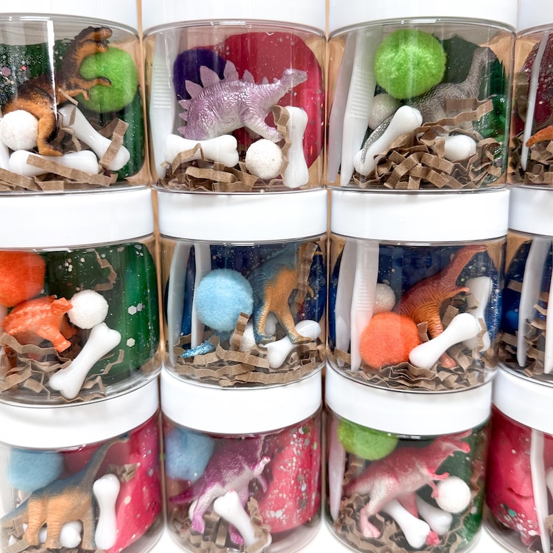Dinosaur Sensory Bag - Etsy