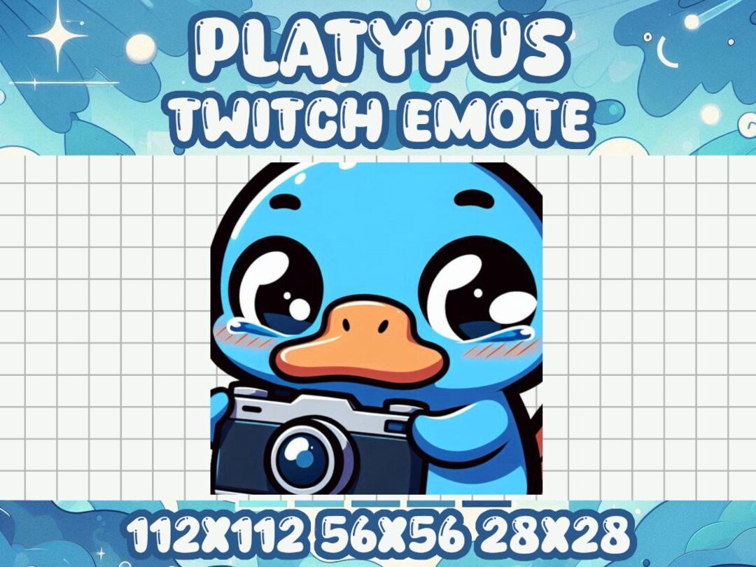 Blue Platypus Caught in 4K Emote for Study and Livestream Platforms ...