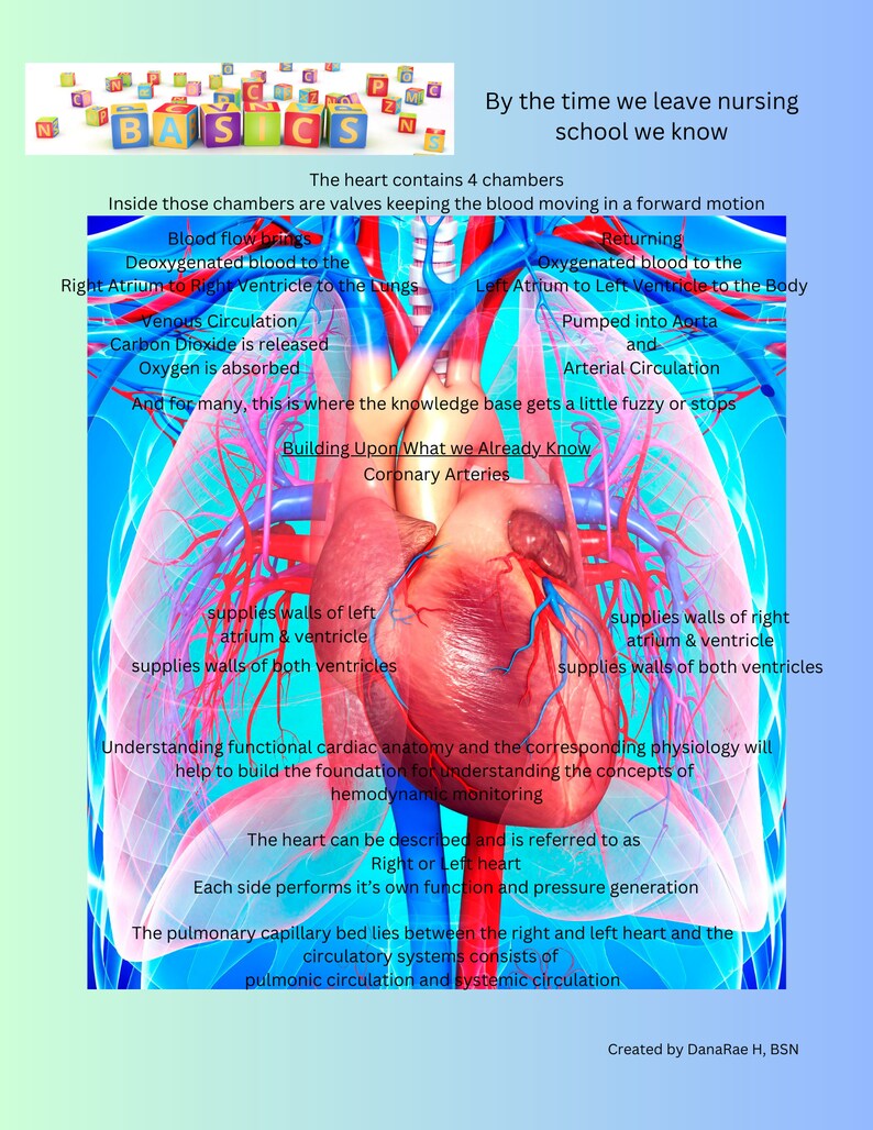 Basic Cardiac Anatomy - Functional Cardiac Physiology, Cardiac ...