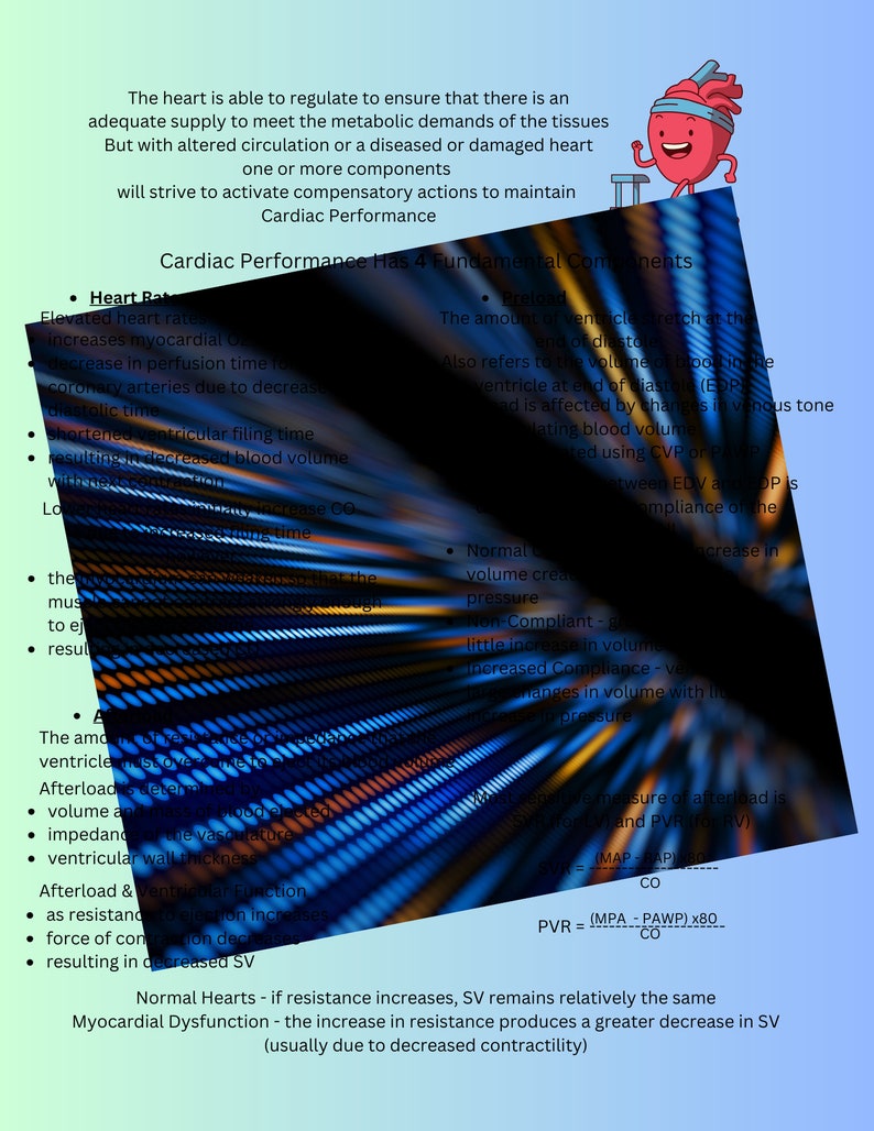 Basic Cardiac Anatomy - Functional Cardiac Physiology, Cardiac ...
