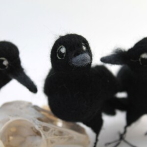 Needle Felted Crow Black Bird Decoration - Etsy
