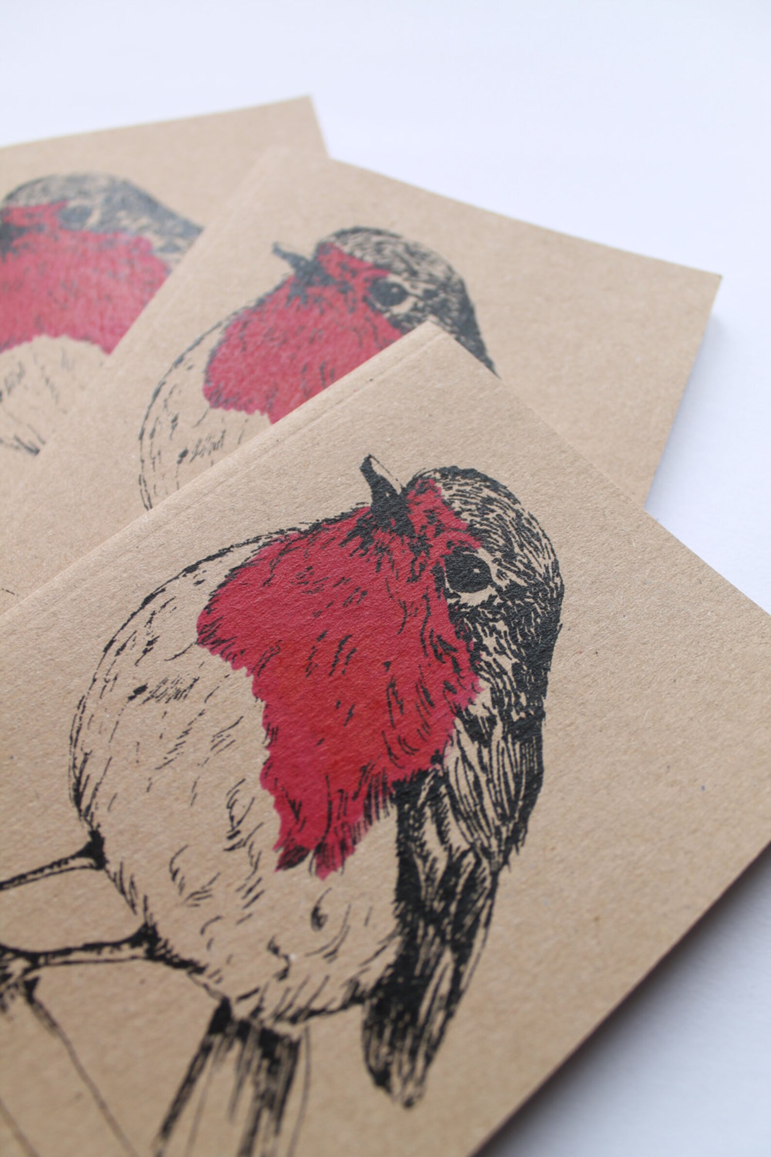 A6 Robin Notebook A6 Plain Kraft Notebook With Blank Pages - Etsy UK