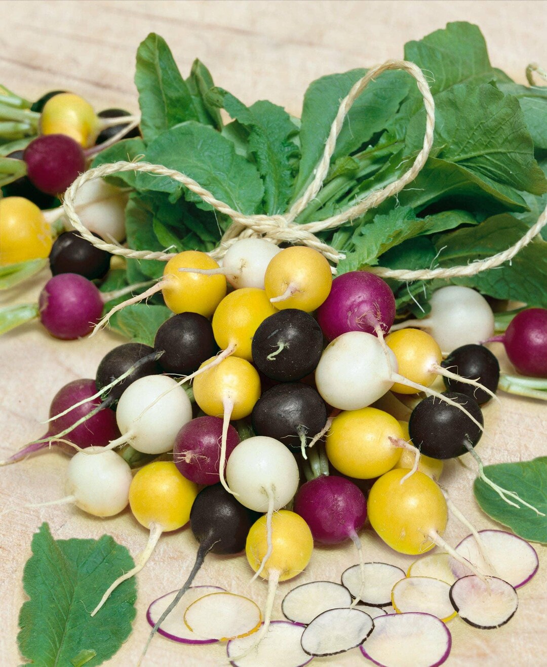 Radish Seeds - Halloween Mix - Etsy