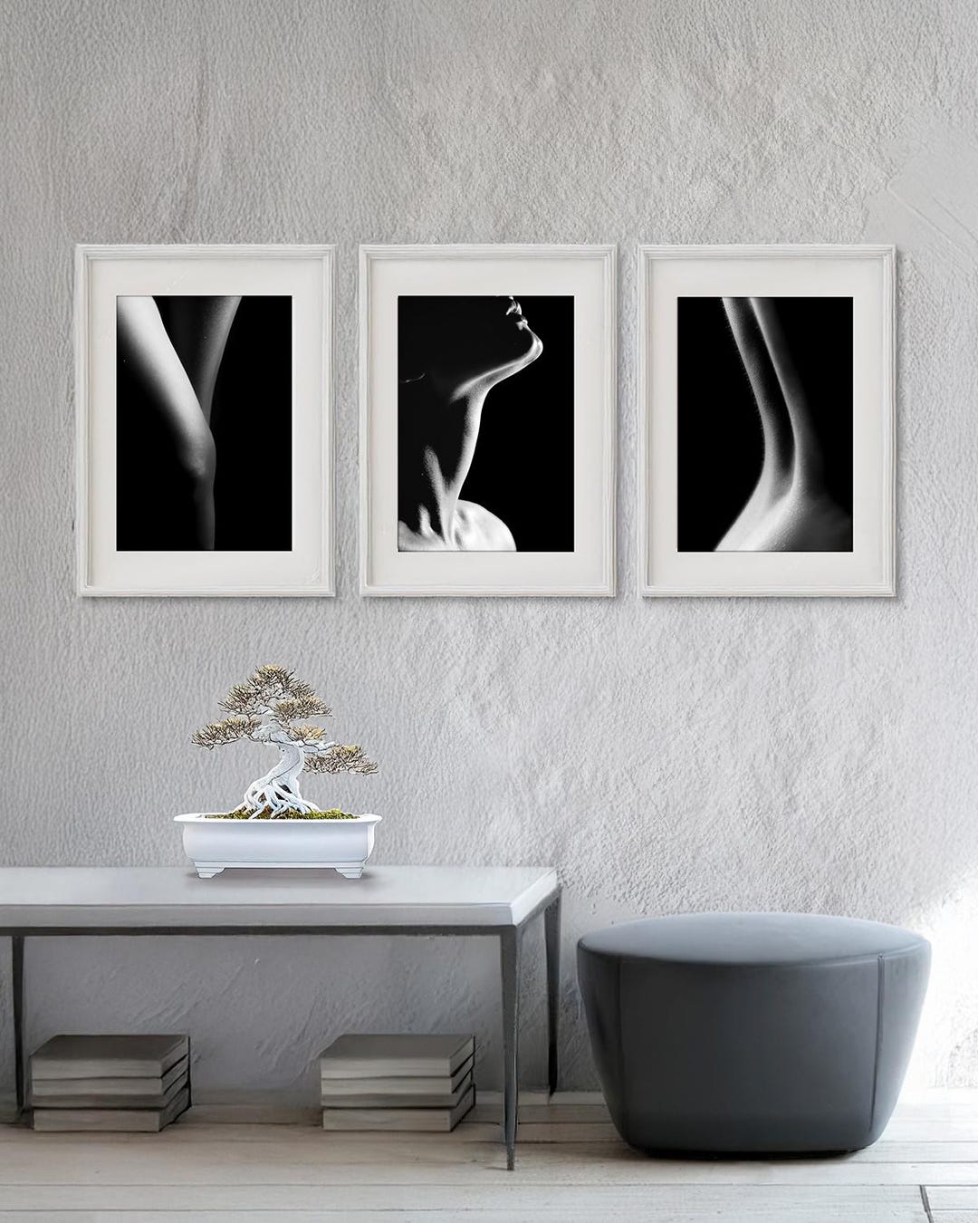 Female Form Photography Set: Abstract Body Curves, Black and White ...