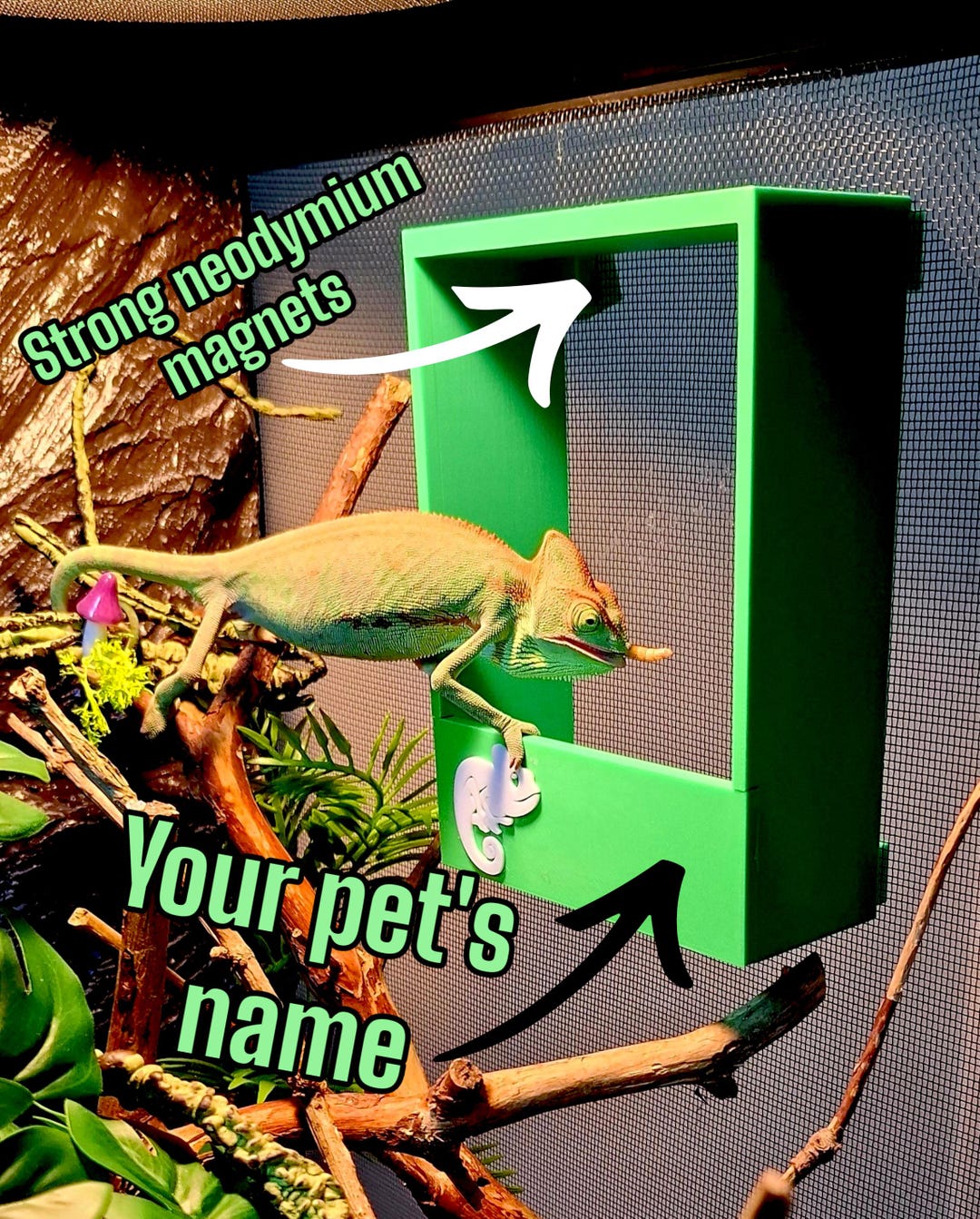 Lizards Magnetic Feeder – Terrarium Feeder, Chameleon, Bearded Dragon ...