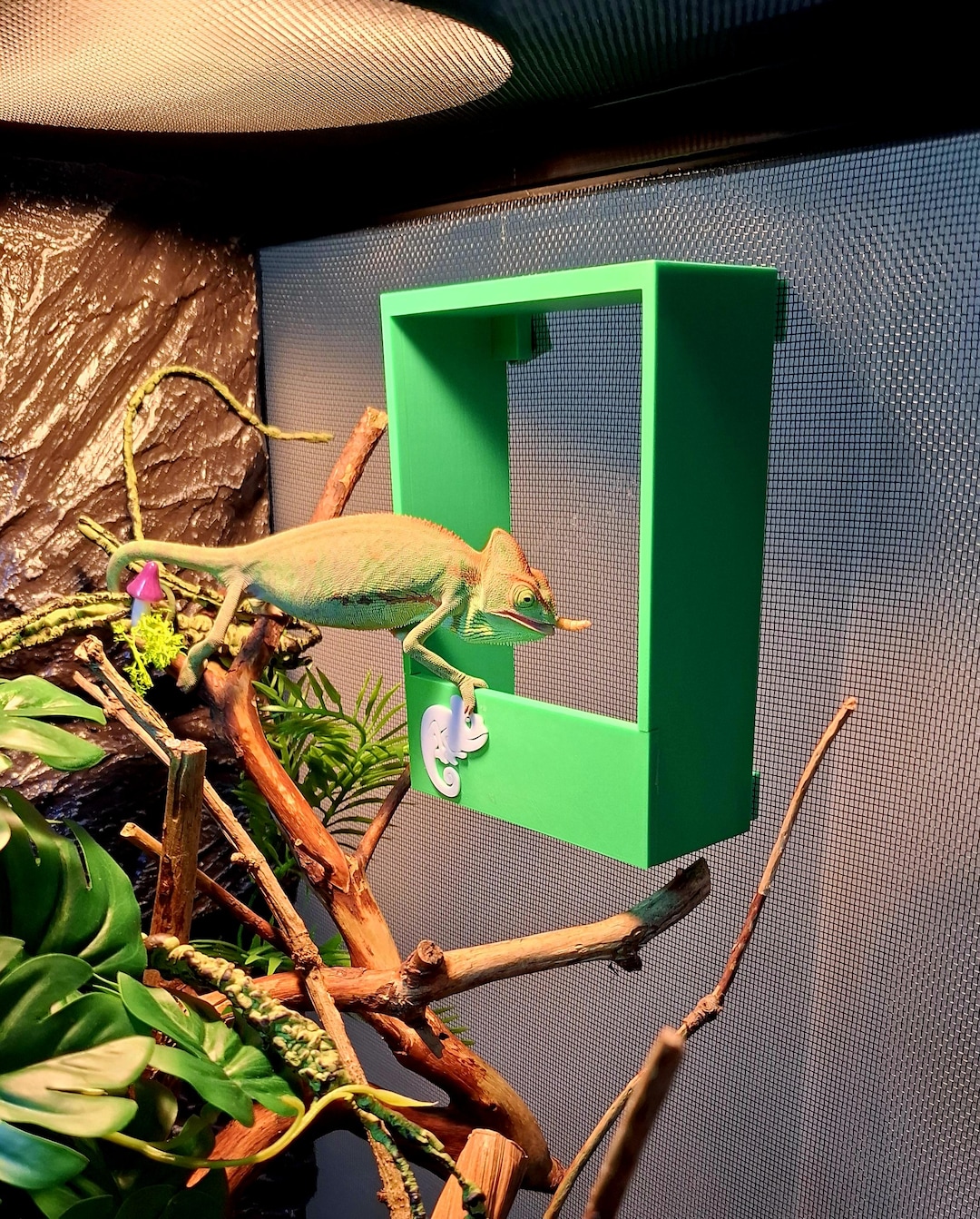 Lizards Magneticfeeder – Terrarium Feeder, Chameleon, Bearded Dragon ...