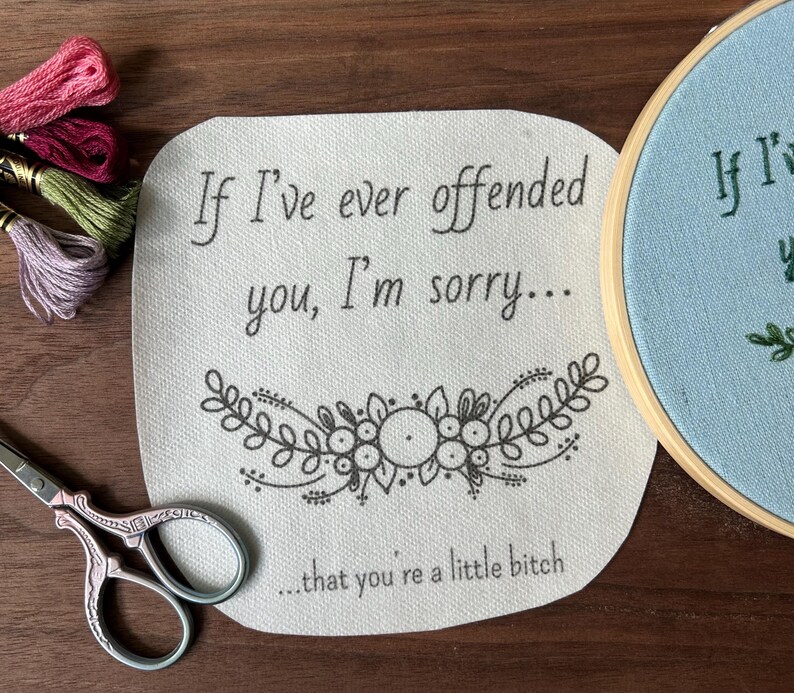 Snarky Hand Embroidery Pattern: 'sorry...you're a Little B**ch' Stick ...