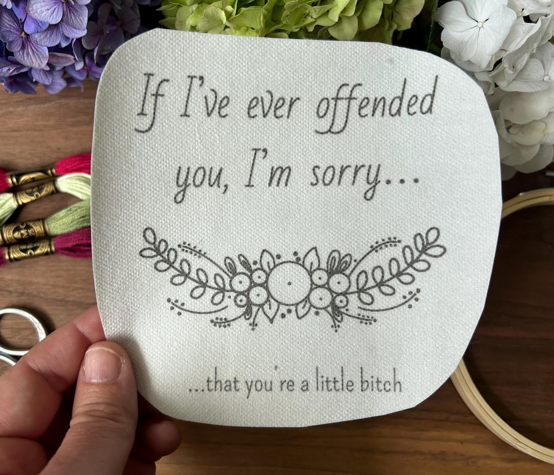 Snarky Hand Embroidery Pattern: 'sorry...you're a Little B**ch' Stick ...