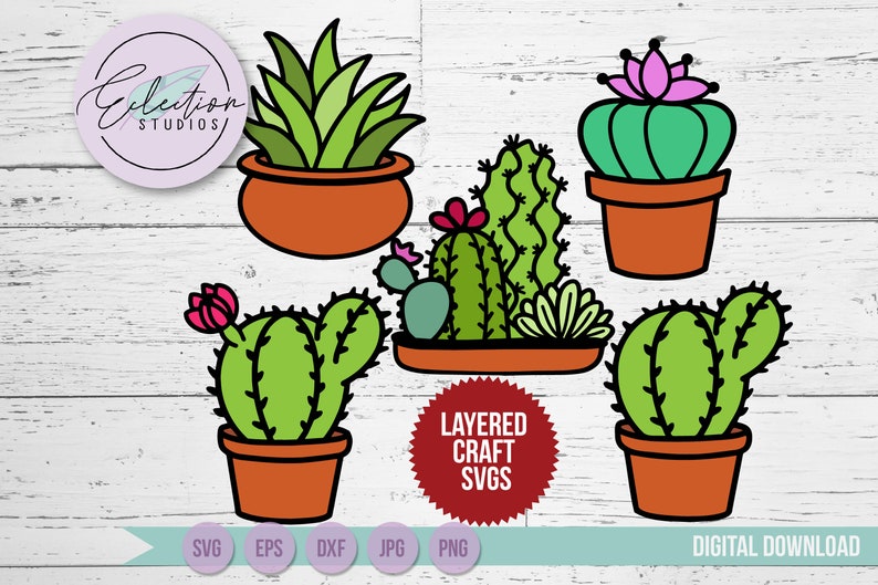 Hand Drawn Cute Cacti SVG Bundle for Crafting and Laser - Etsy