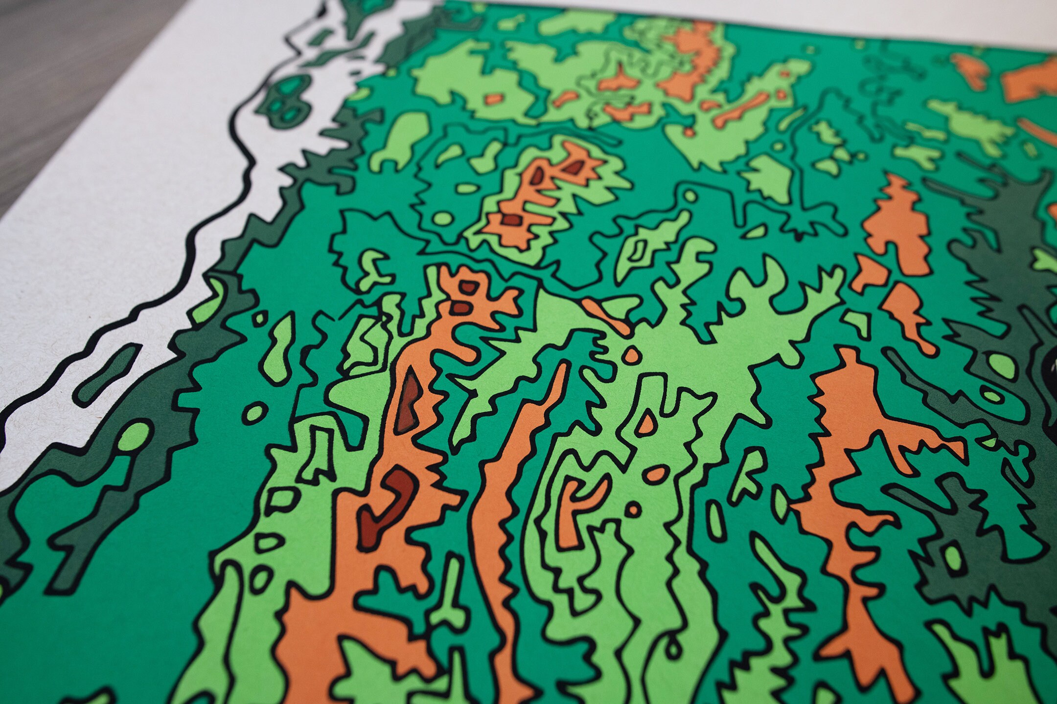 Vermont Topographical Map Screenprint long trail art print | Etsy