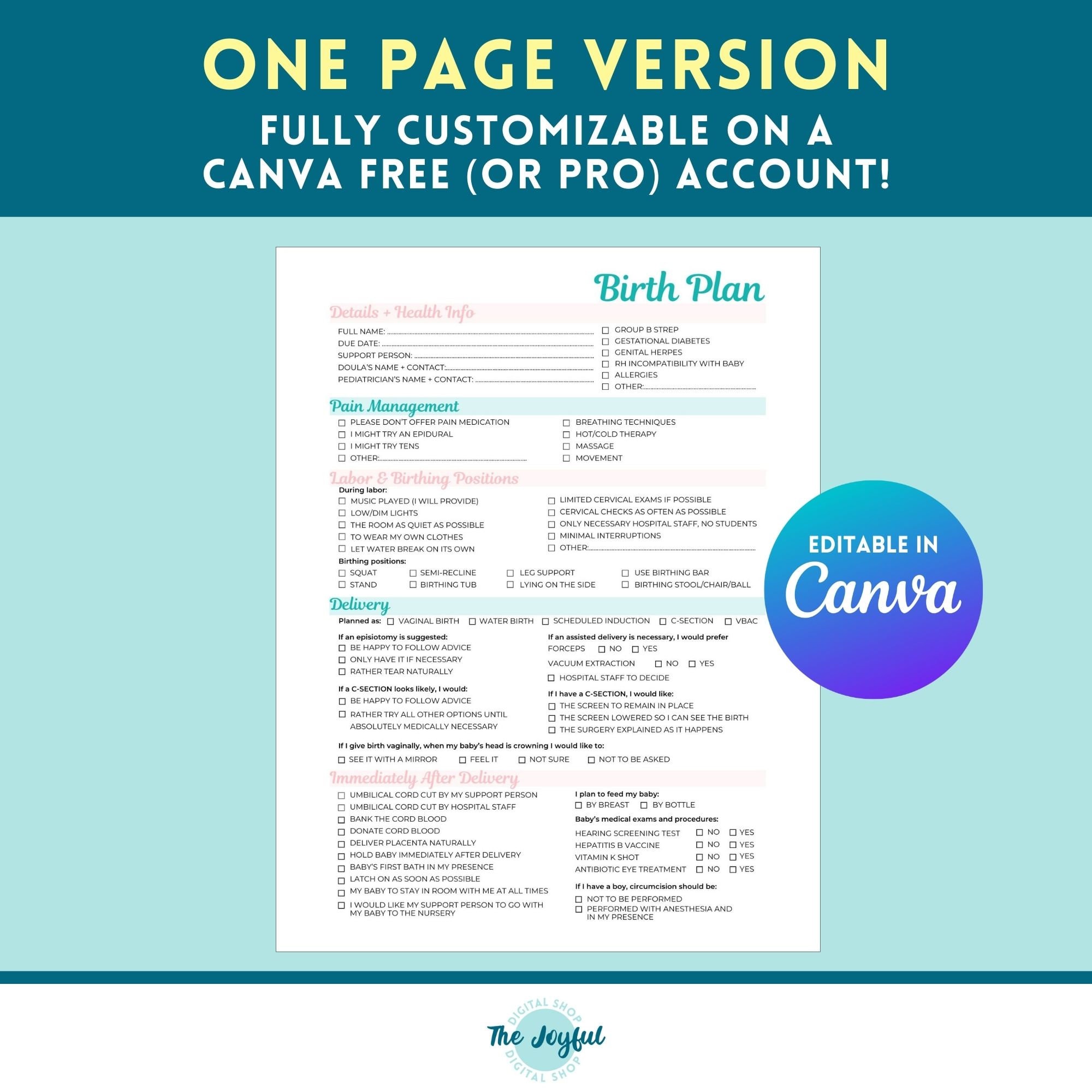 Editable Birth Plan Template, Birth Preferences, Pregnancy Planner ...