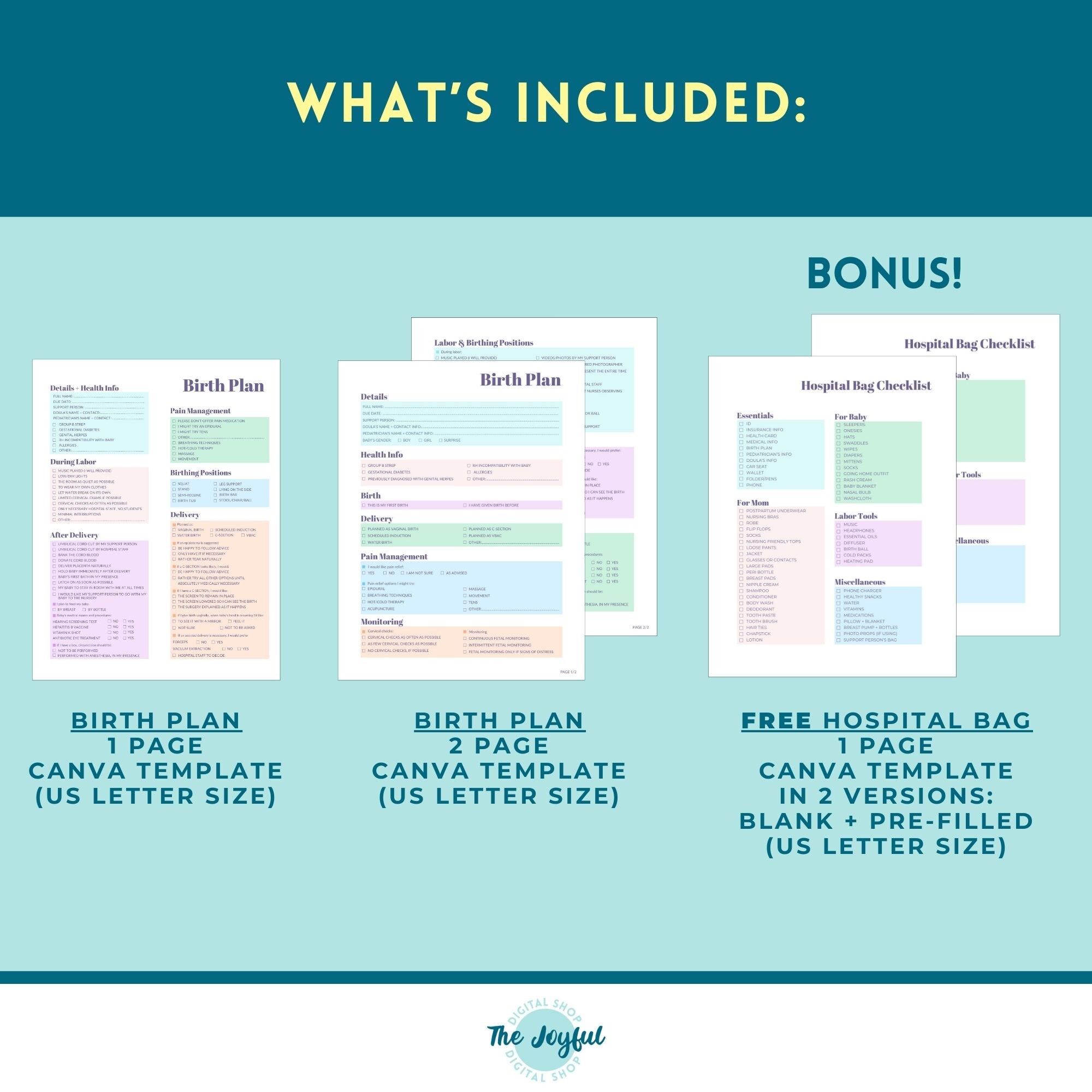 Editable Birth Plan Template, Birth Preferences, Pregnancy Planner ...