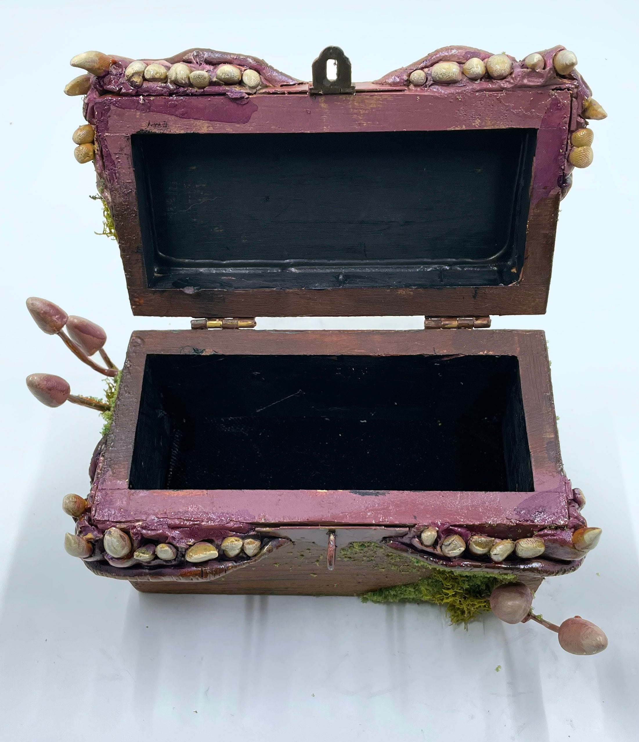 Moss Mimic Mushroom Mimic Personalized Jewelry Box Hand Painted Mimic ...