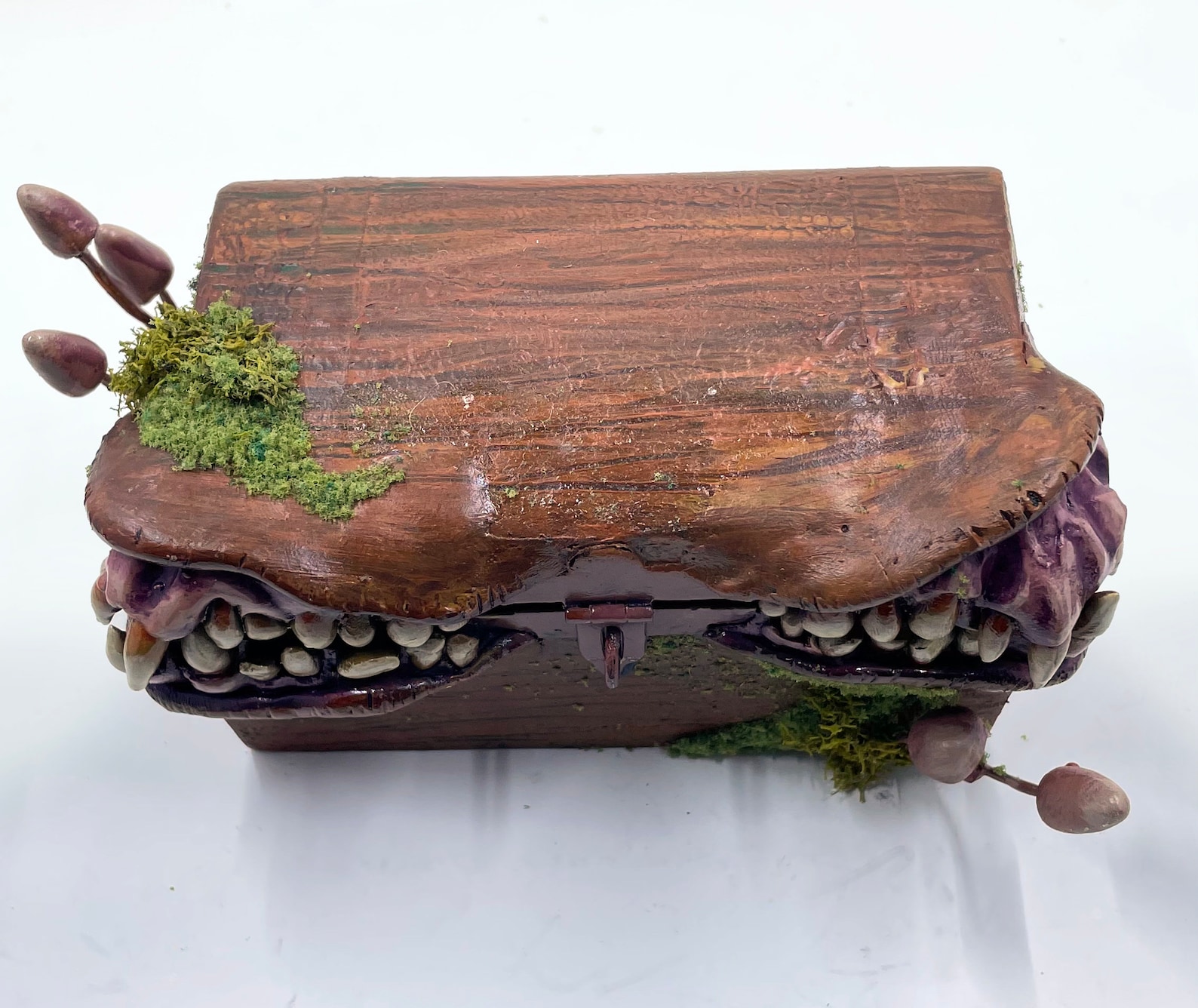 Moss Mimic Mushroom Mimic Personalized Jewelry Box Hand Painted Mimic ...