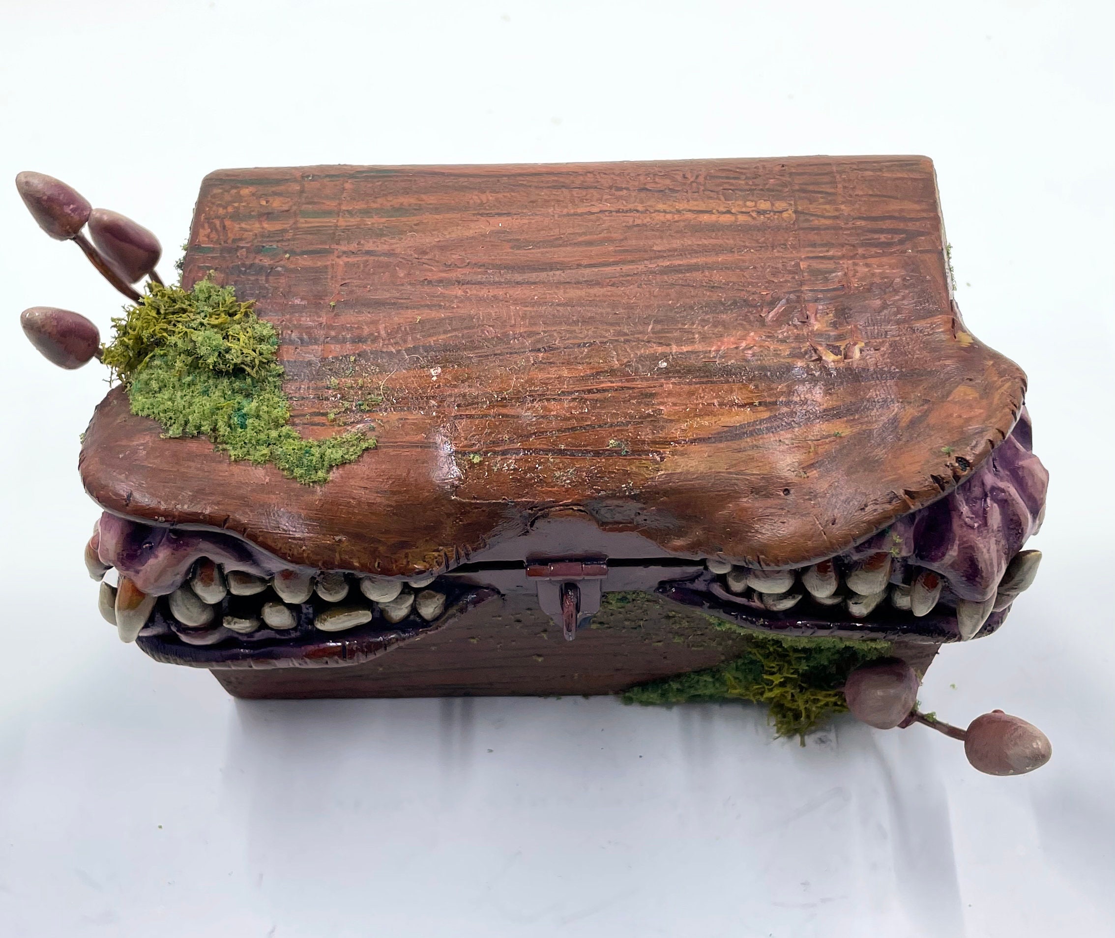 Moss Mimic Mushroom Mimic Personalized Jewelry Box Hand Painted Mimic ...