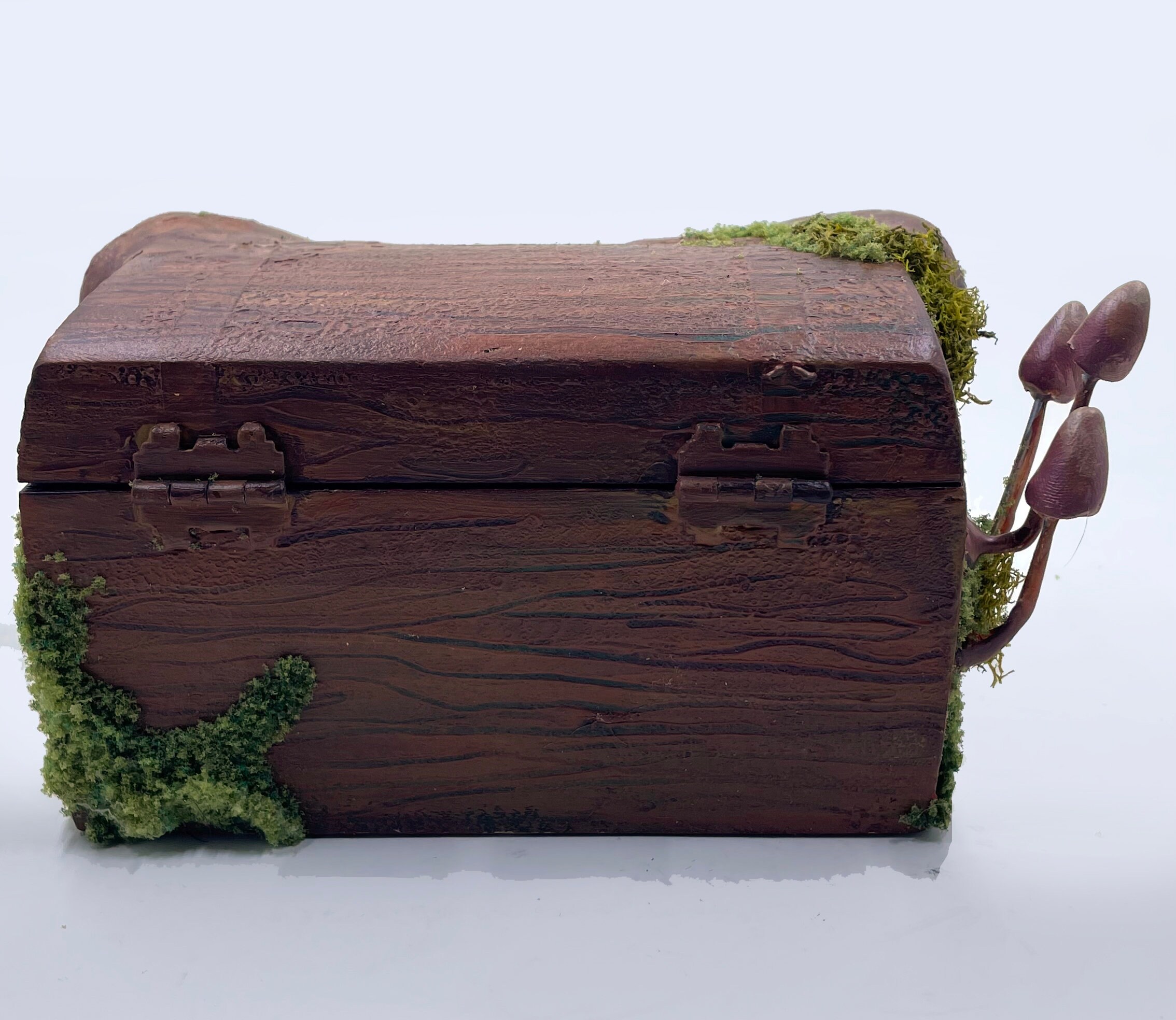 Moss Mimic Mushroom Mimic Personalized Jewelry Box Hand Painted Mimic ...