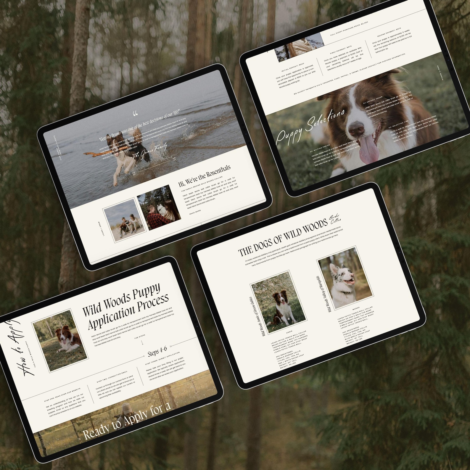 Dog Breeder Website Template: Neutral Dog Kennel Pet Business Web ...