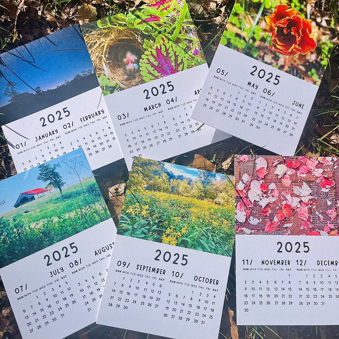 REFILLS 2025 Recycled Paper Photo Calendars Lexington & Rockbridge ...