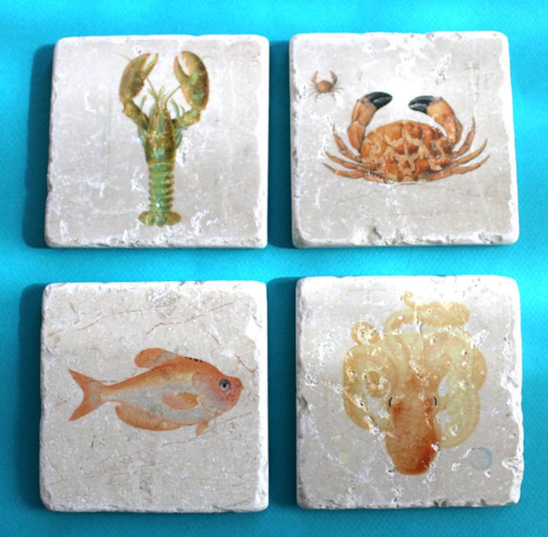 Marble coasters Sea Creatures | Etsy
