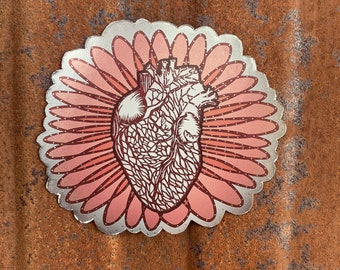 Anatomical Heart Magnet, Translucent Red - Etsy